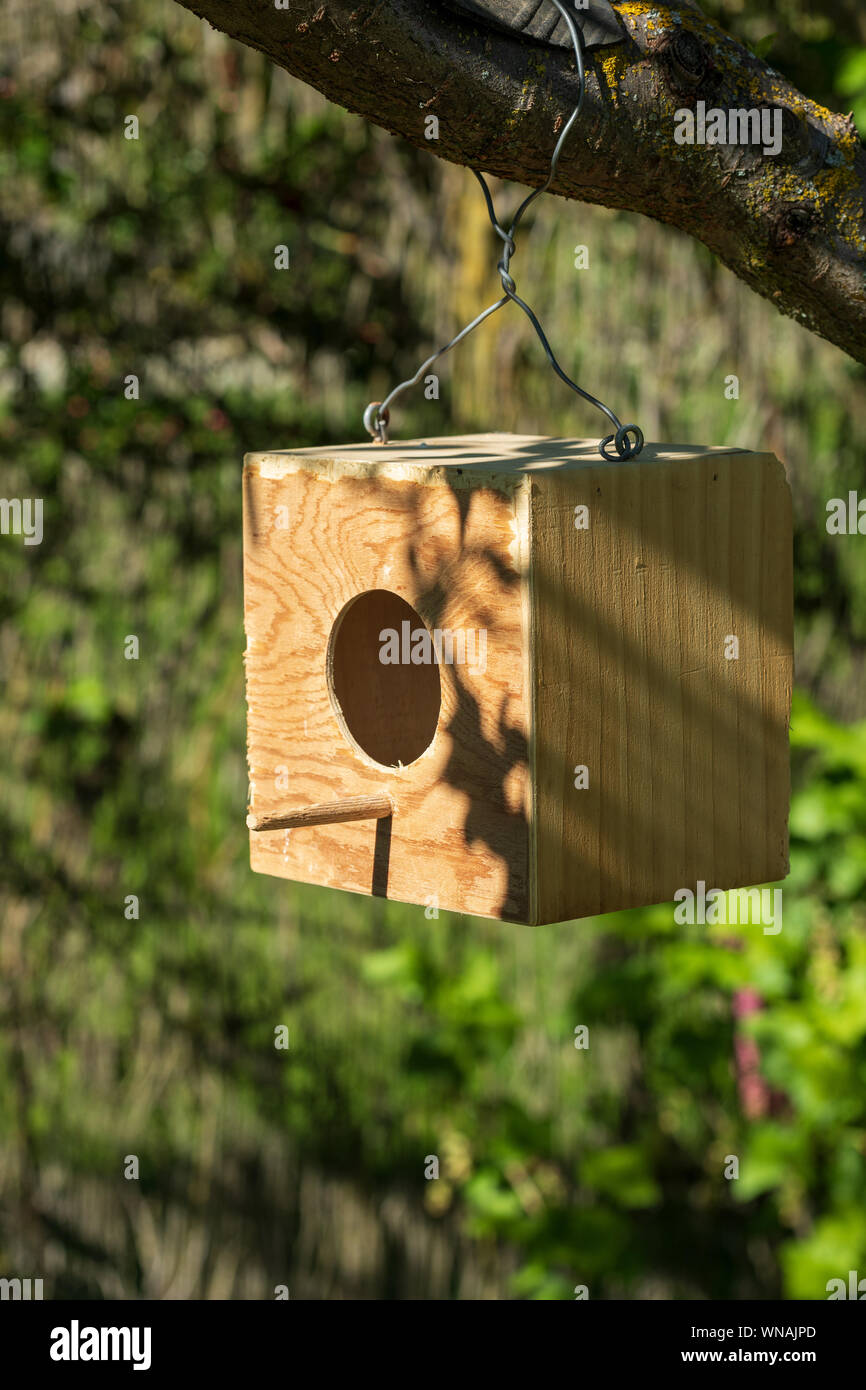 Hut and feeder for wild birds. With food for birds Stock Photo - Alamy