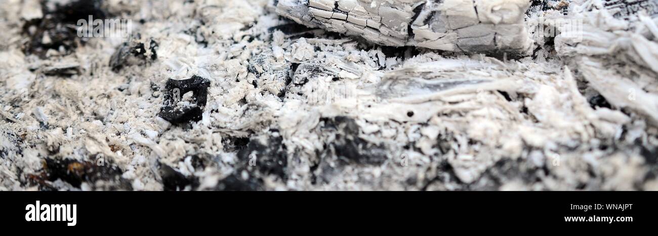 Pile of ashes after the fire went out grunge background texture. Burned ...