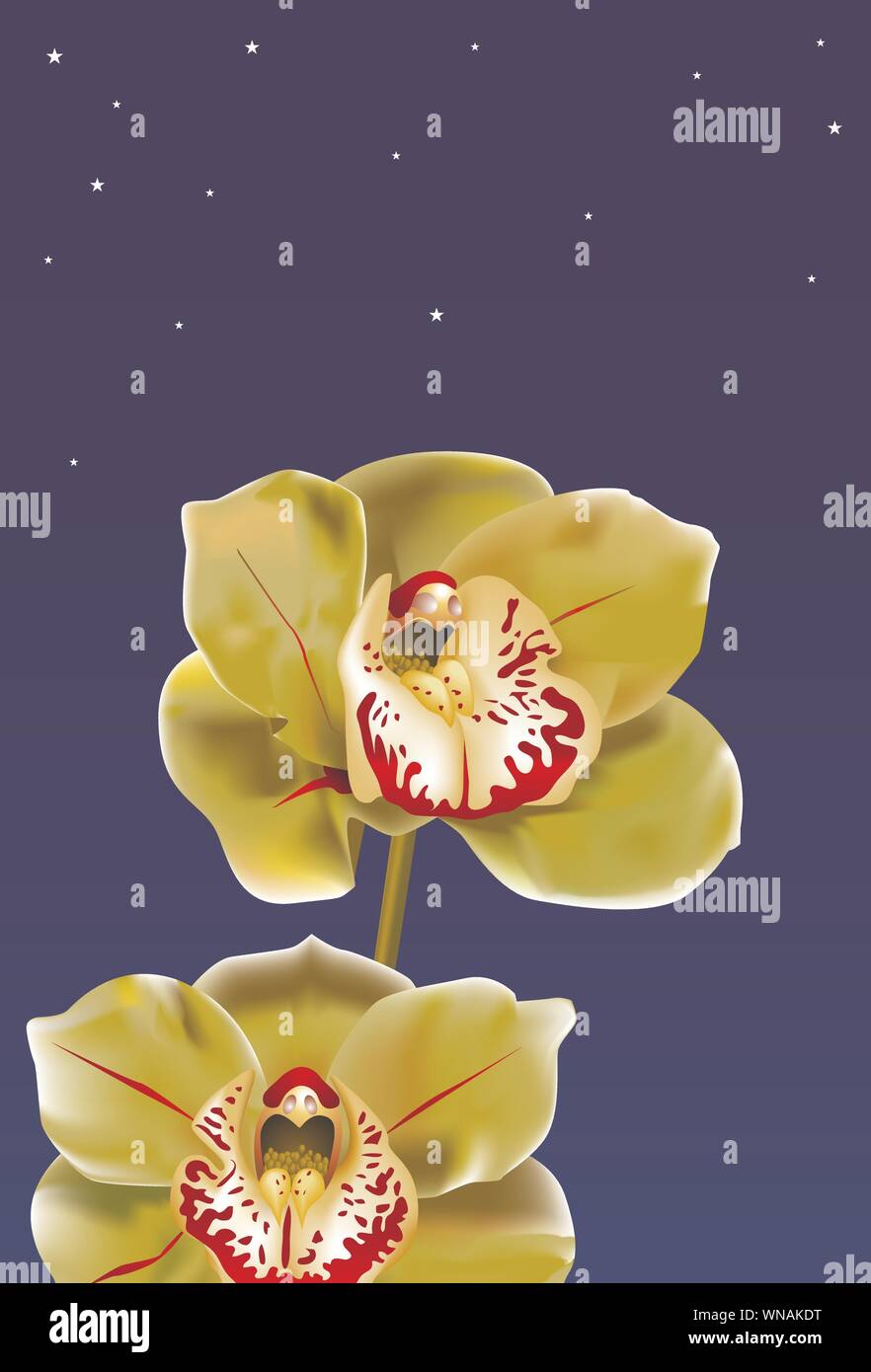 Beautiful exotic blooms Stock Vector Images - Alamy