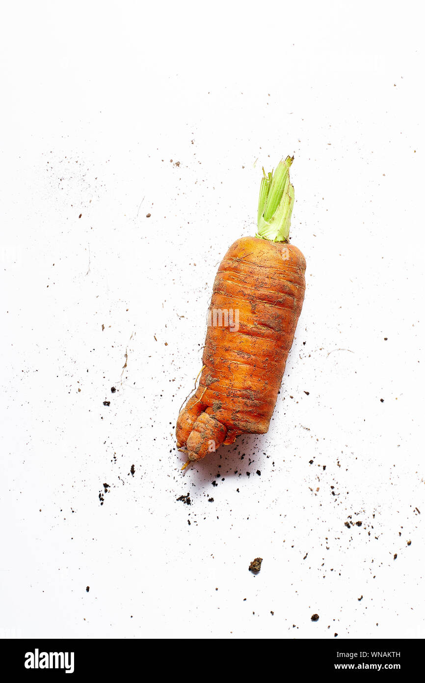 Organic carrot of unusual shape Stock Photo - Alamy