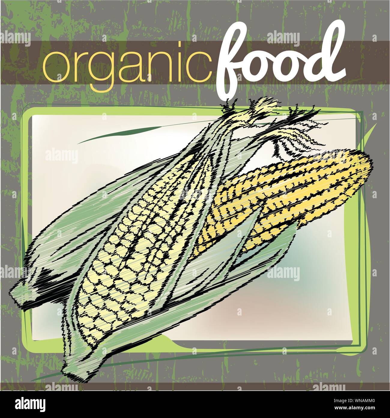 Organic Food illustration Stock Vector Image & Art - Alamy