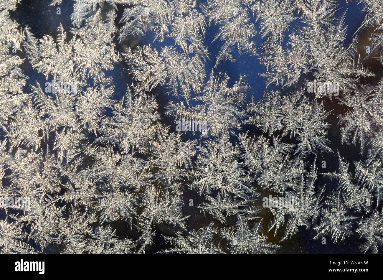 Snowflakes frost rime macro on window glass pane. Colorful ice on the ...
