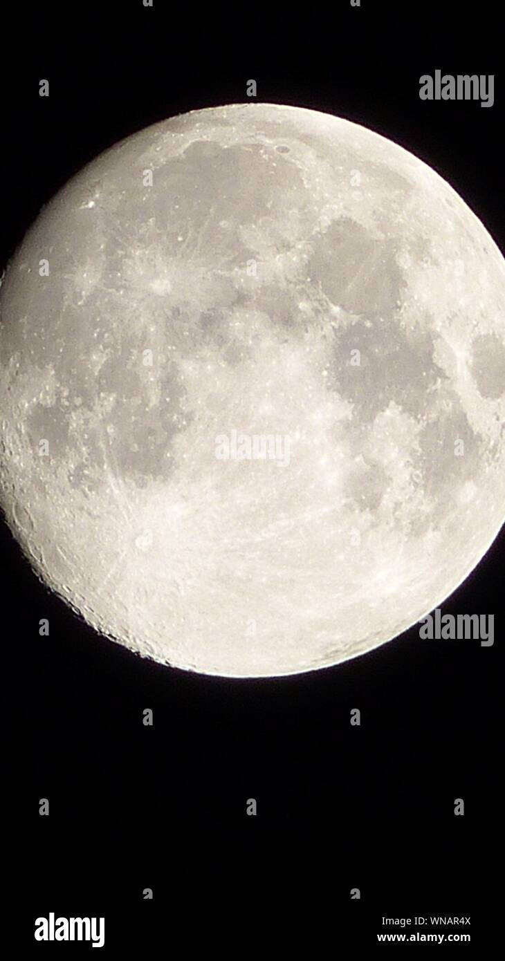 Detailed copy hi-res stock photography and images - Alamy