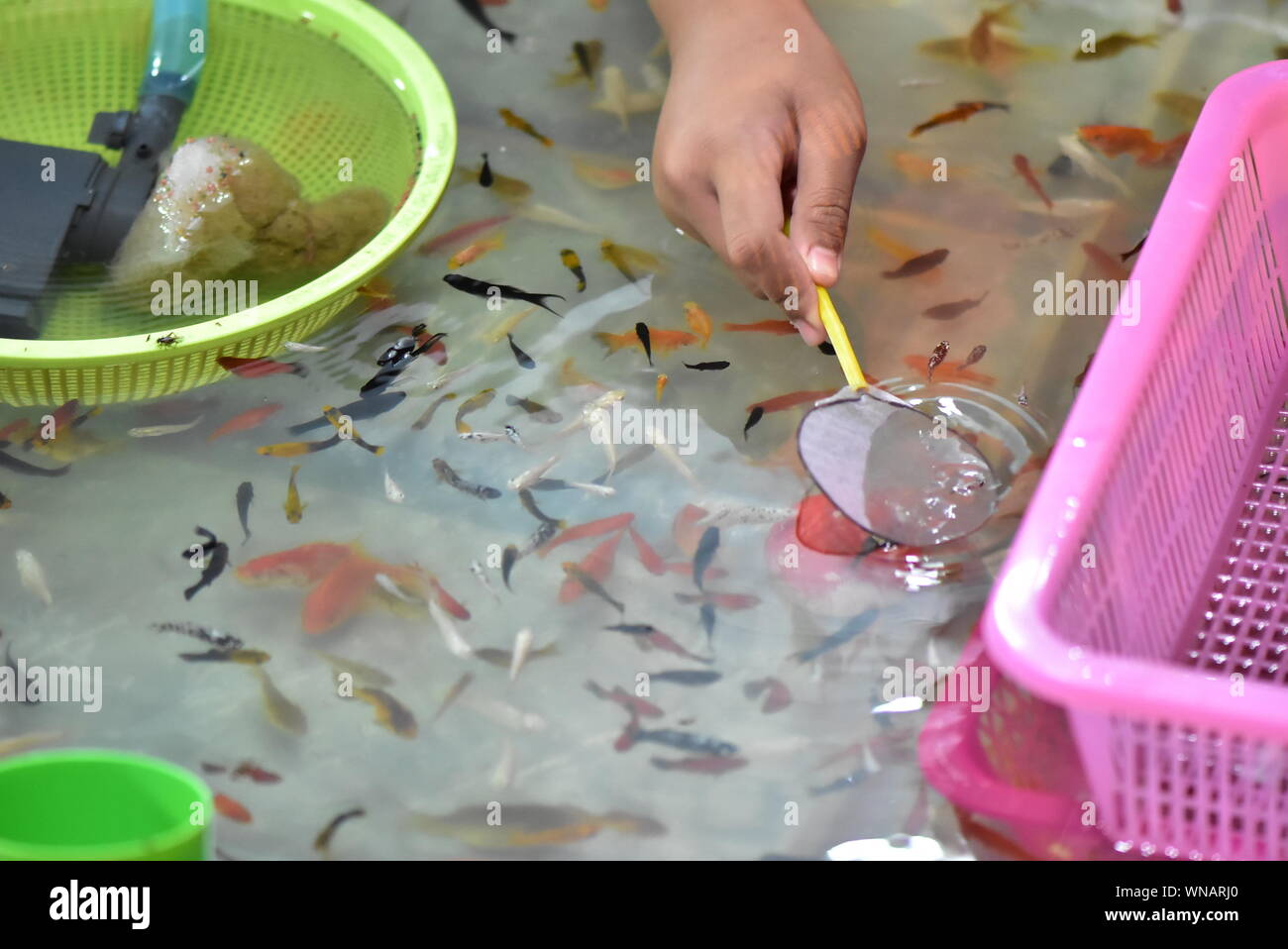 The net water hi-res stock photography and images - Alamy