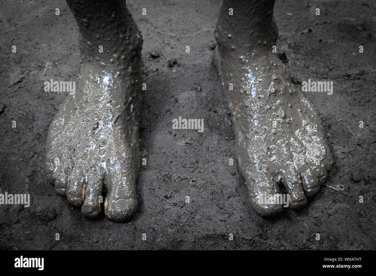 Muddy Feet High Resolution Stock Photography and Images - Alamy