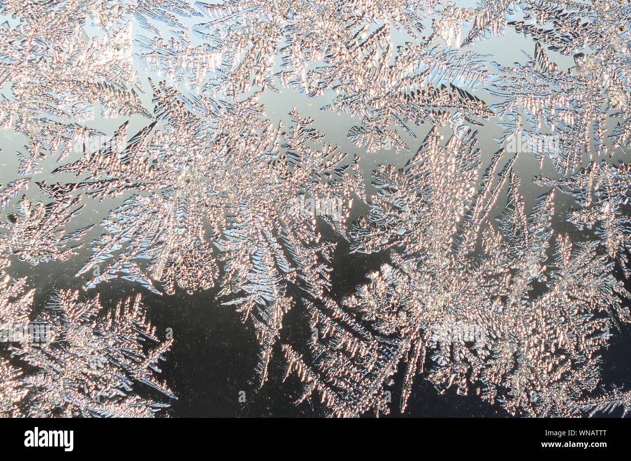 Snowflakes frost rime macro on window glass pane. Colorful ice on the ...