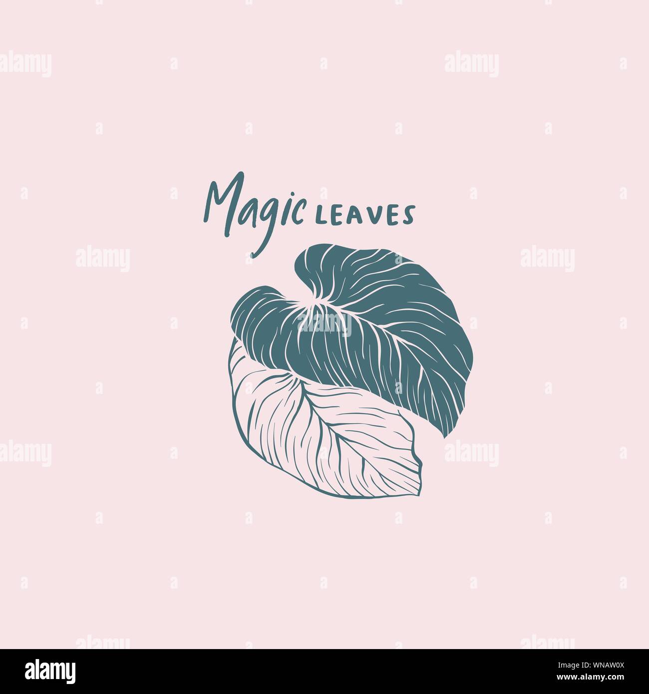 Tropical magic leaves vector logo template. Silhouette and contour ...