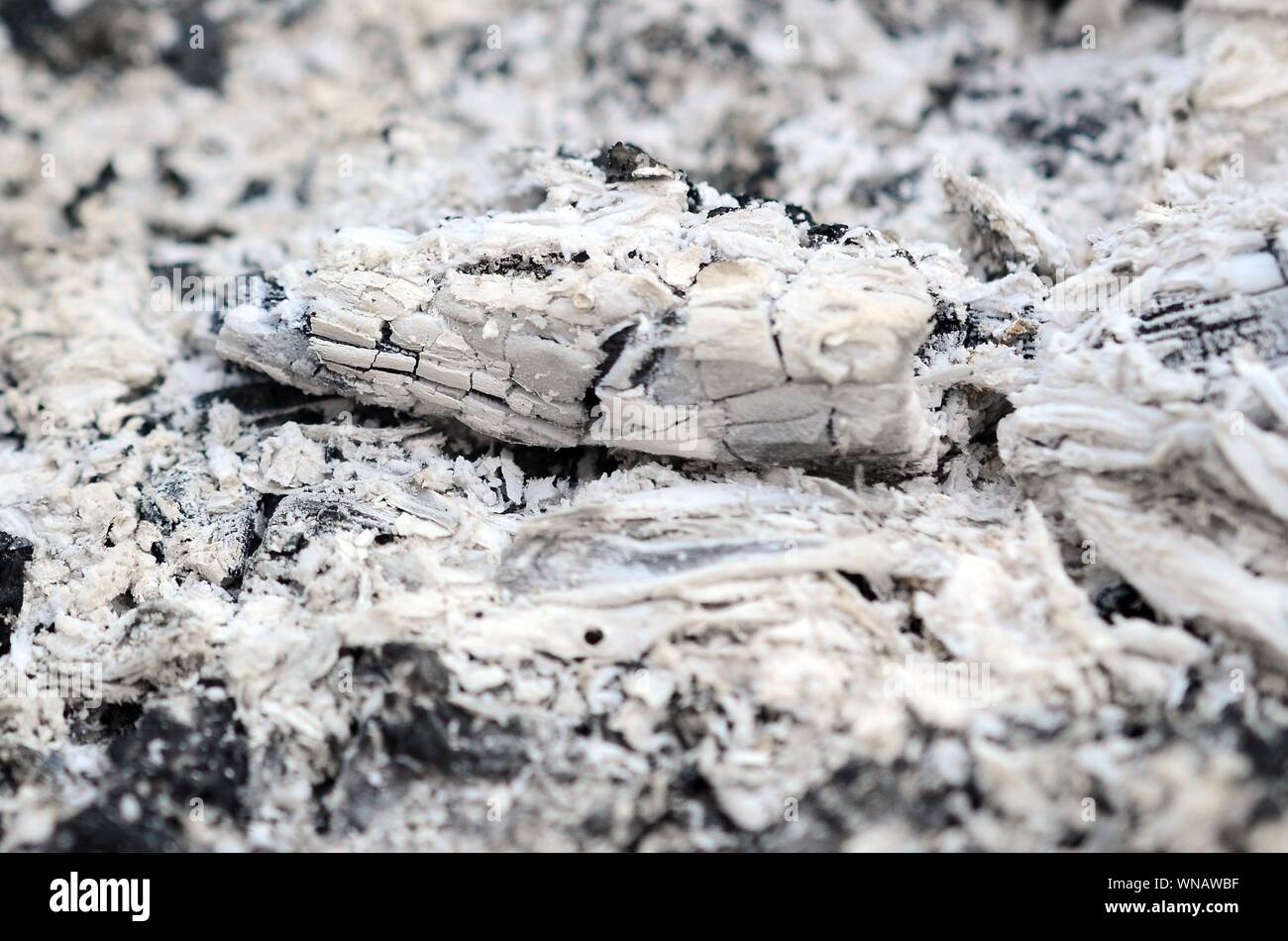 Pile of ashes after the fire went out grunge background texture. Burned ...