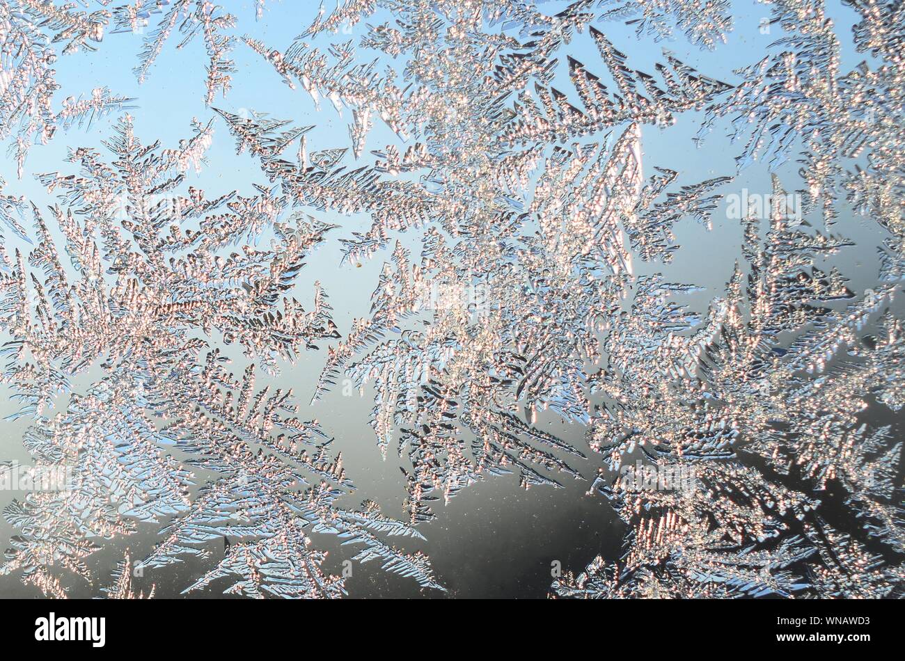 Snowflakes frost rime macro on window glass pane. Colorful ice on the ...