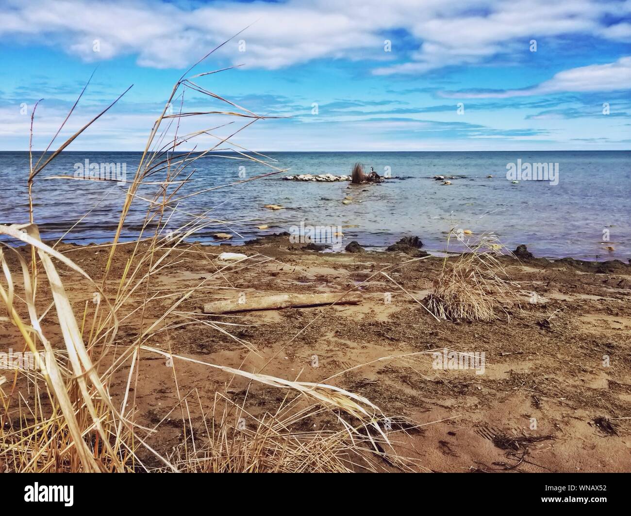 Reeds beach hi-res stock photography and images - Alamy