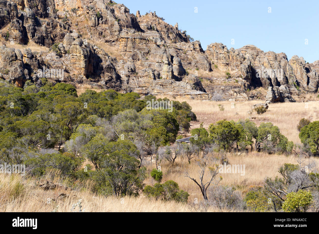 Isalo national park landscape canyon landmark in Madagascar, Africa ...