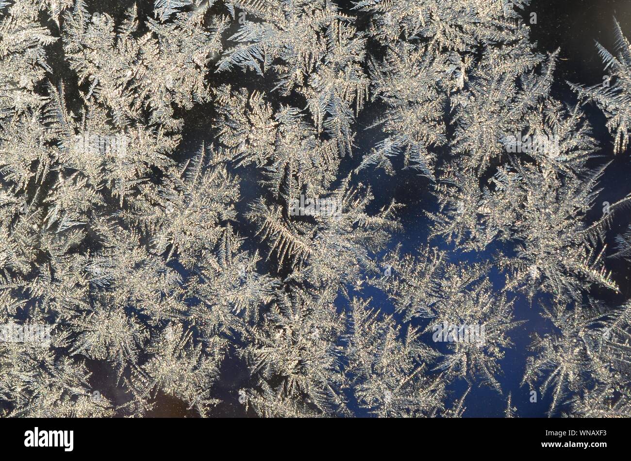 Snowflakes frost rime macro on window glass pane. Colorful ice on the ...