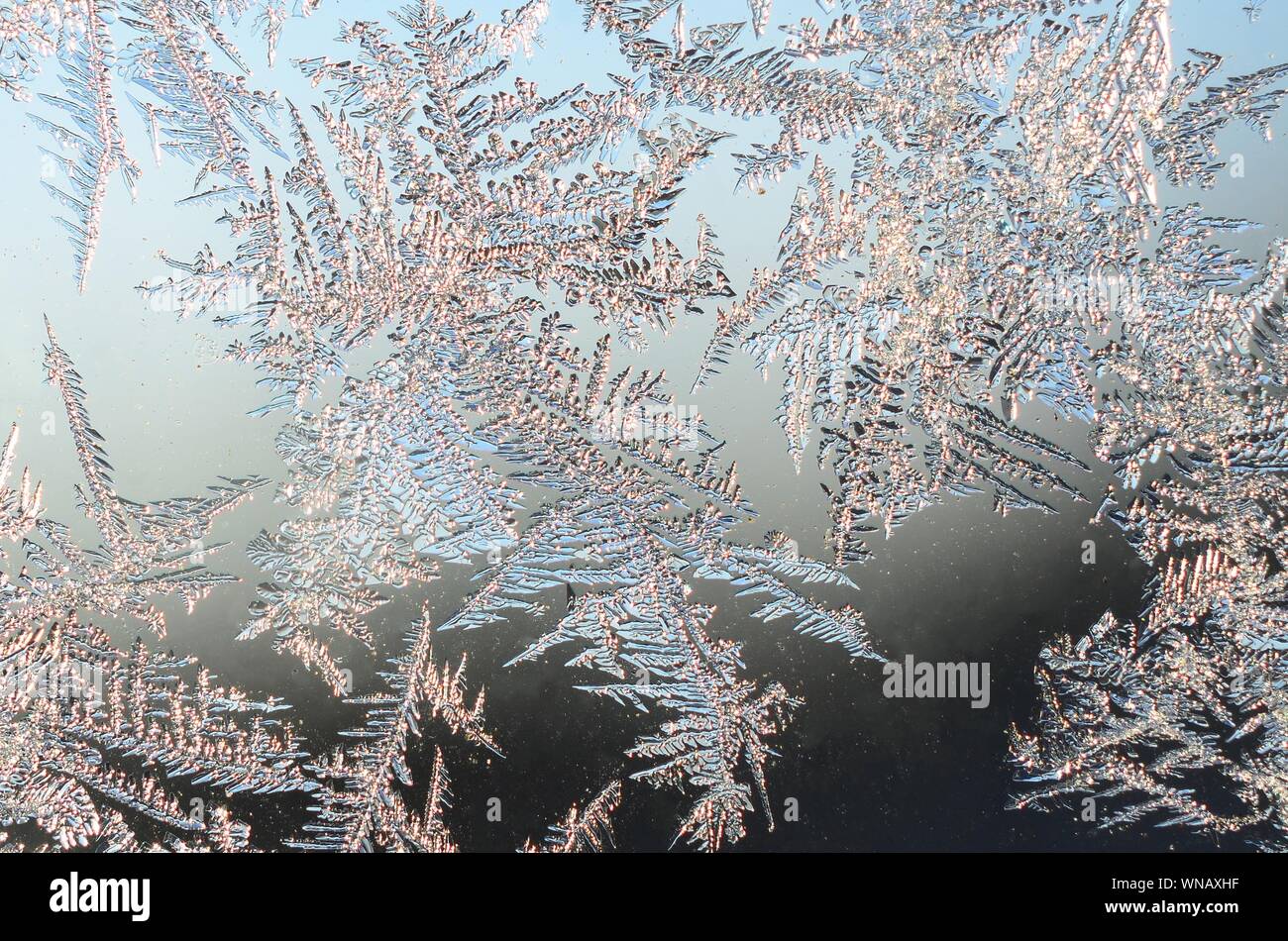Snowflakes frost rime macro on window glass pane. Colorful ice on the ...