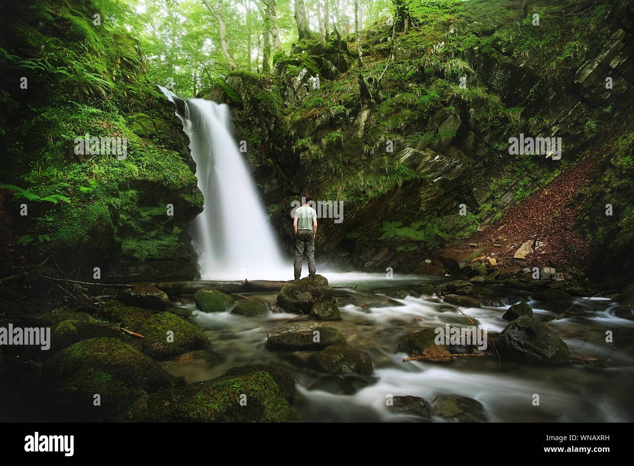 Man watching waterfall hi-res stock photography and images - Alamy