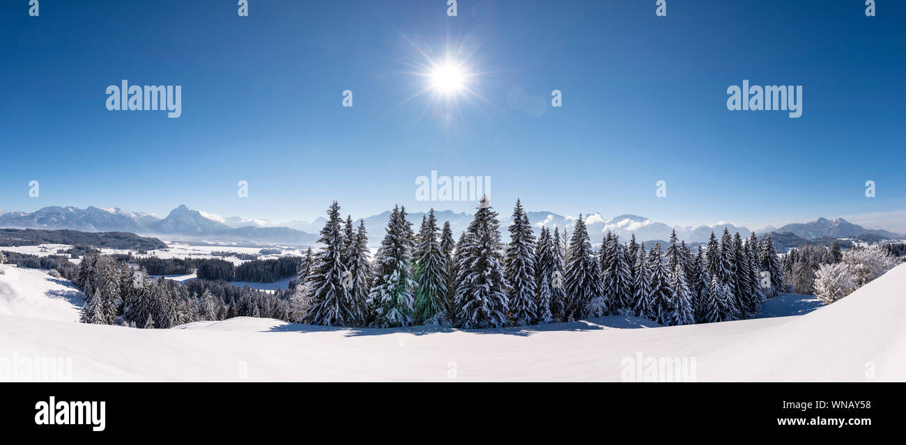 Wide panorama winter landscape hi-res stock photography and images - Alamy