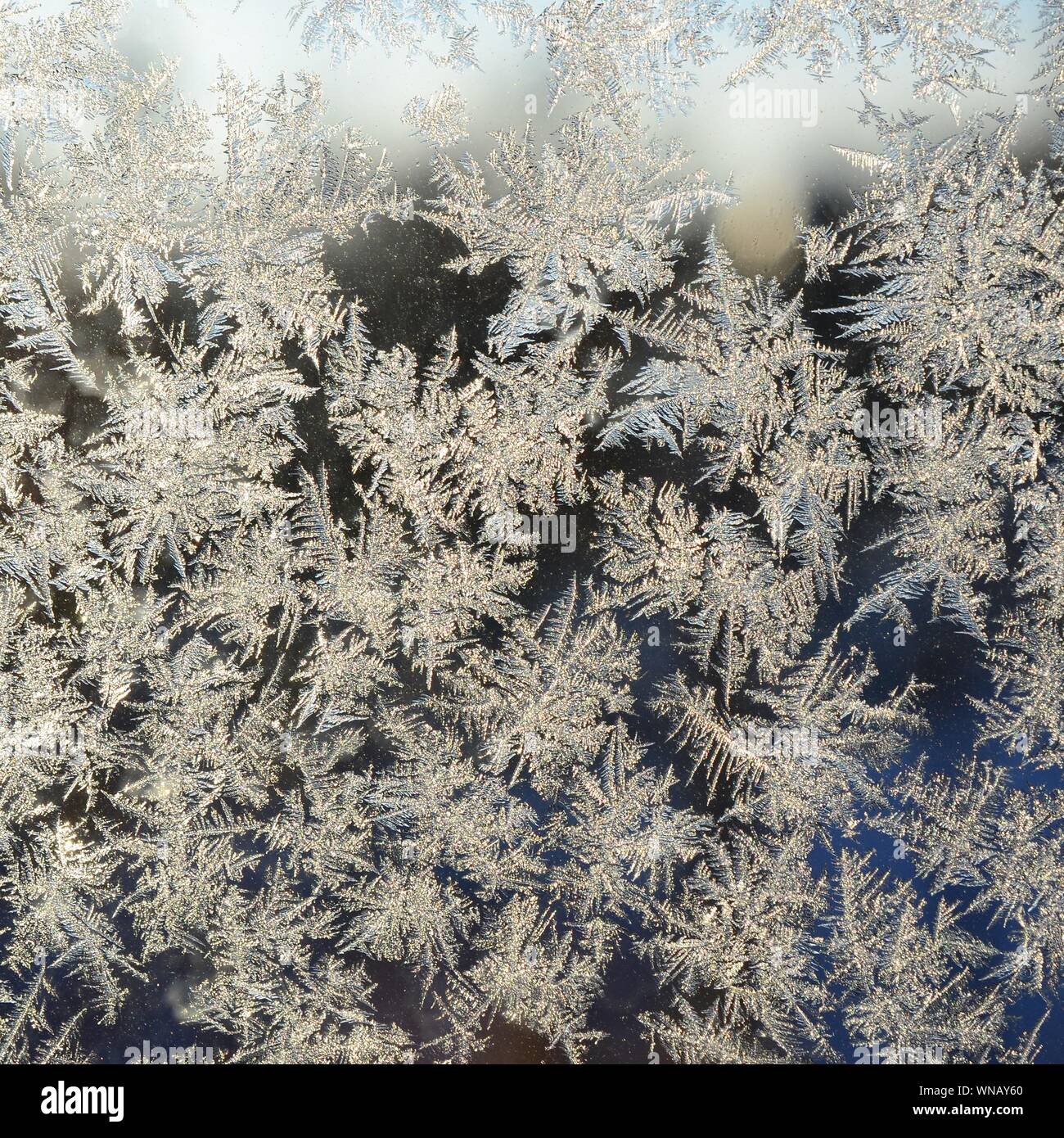 Snowflakes frost rime macro on window glass pane. Colorful ice on the ...