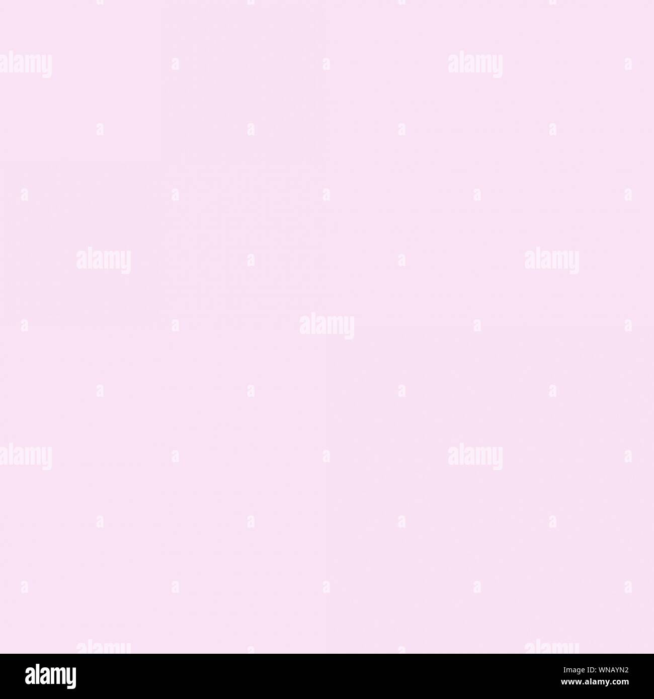 Blush Color Background