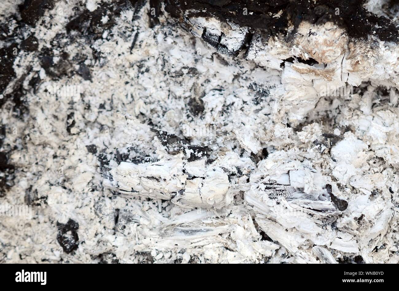 Pile of ashes after the fire went out grunge background texture. Burned ...