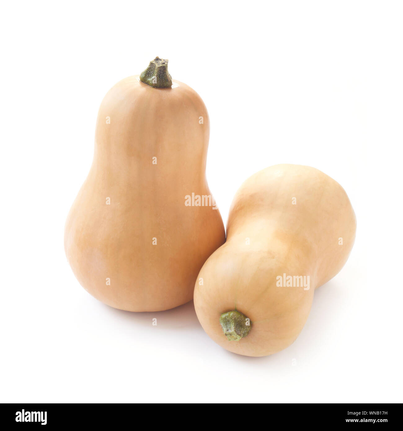 Butternut Squash Isolated On White Stock Photo - Alamy