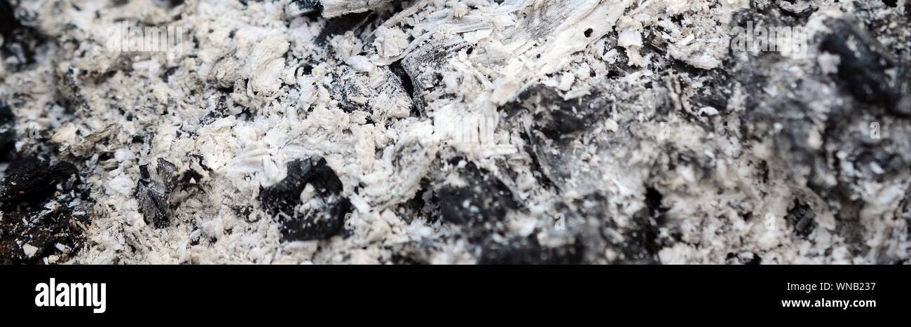 Pile of ashes after the fire went out grunge background texture. Burned ...