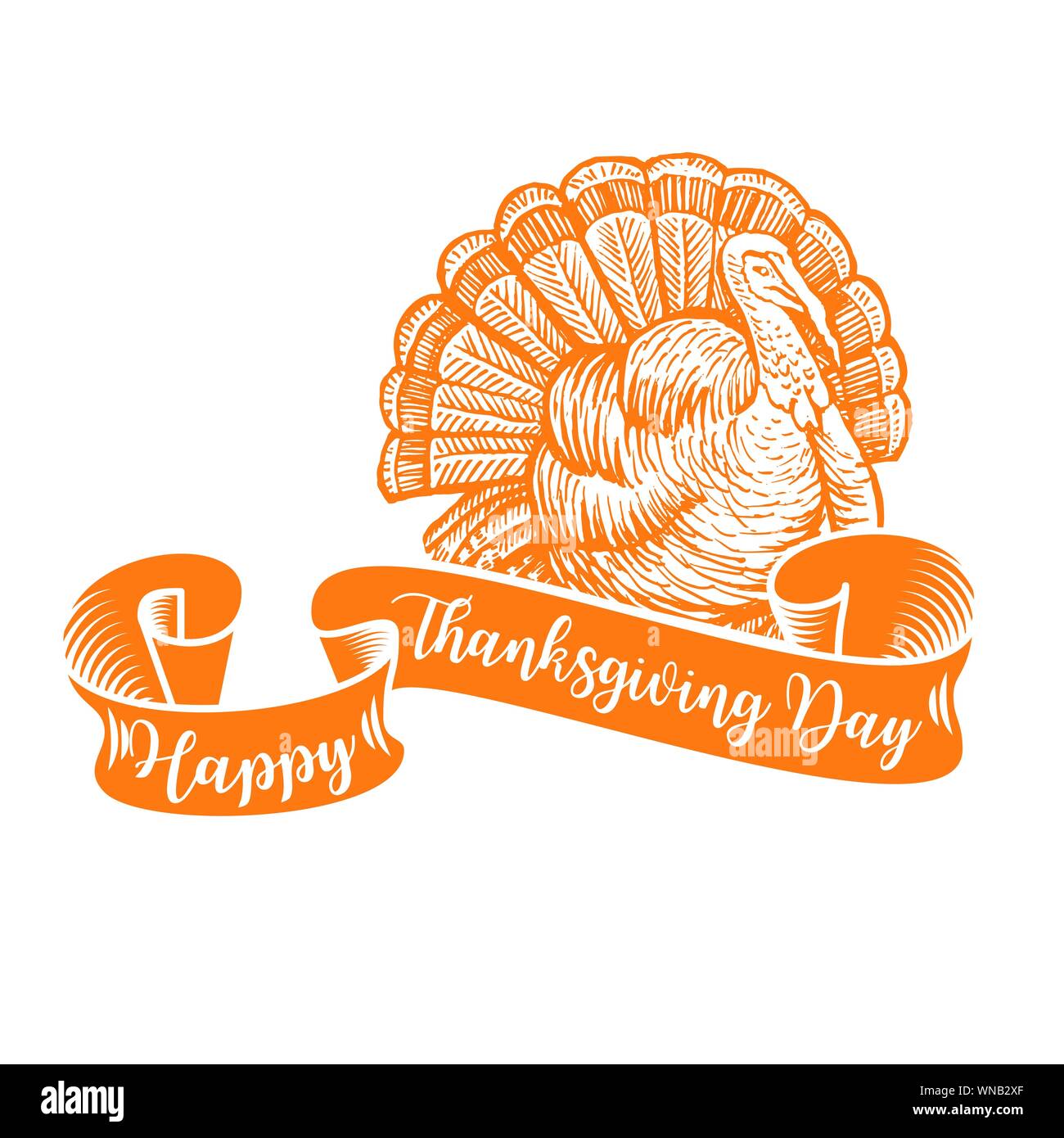 Thanksgiving Turkey Sketch