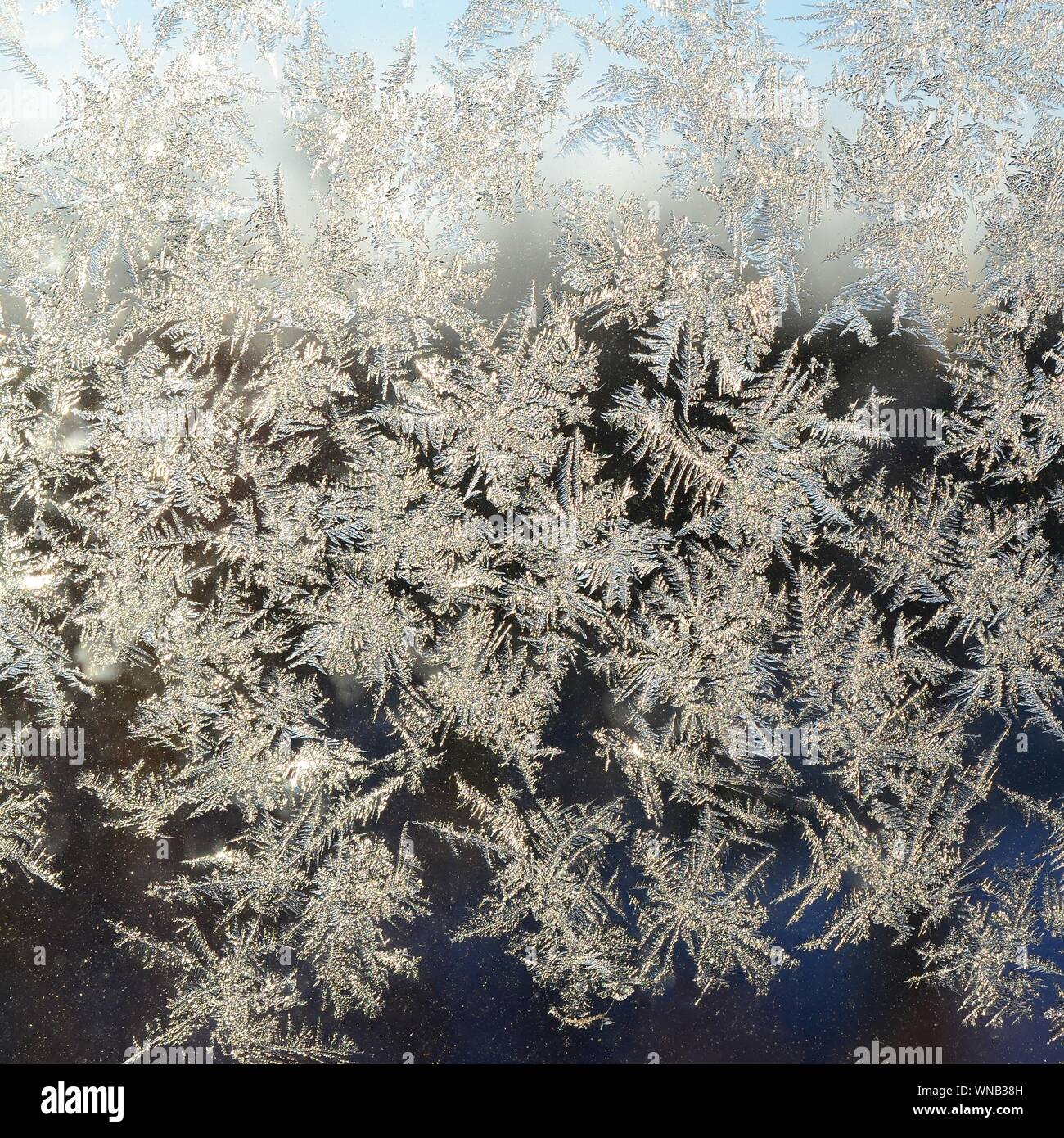 Snowflakes frost rime macro on window glass pane. Colorful ice on the ...