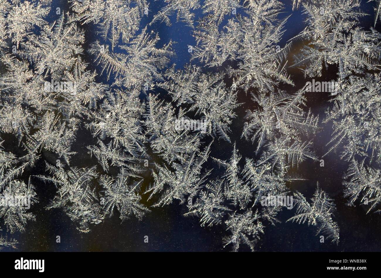 Snowflakes frost rime macro on window glass pane. Colorful ice on the ...