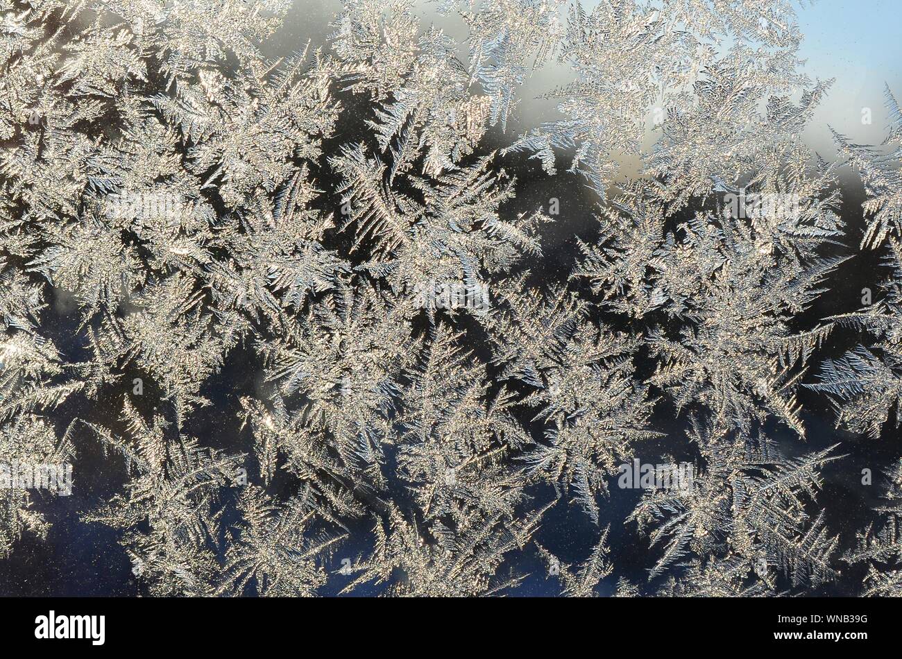 Snowflakes frost rime macro on window glass pane. Colorful ice on the ...