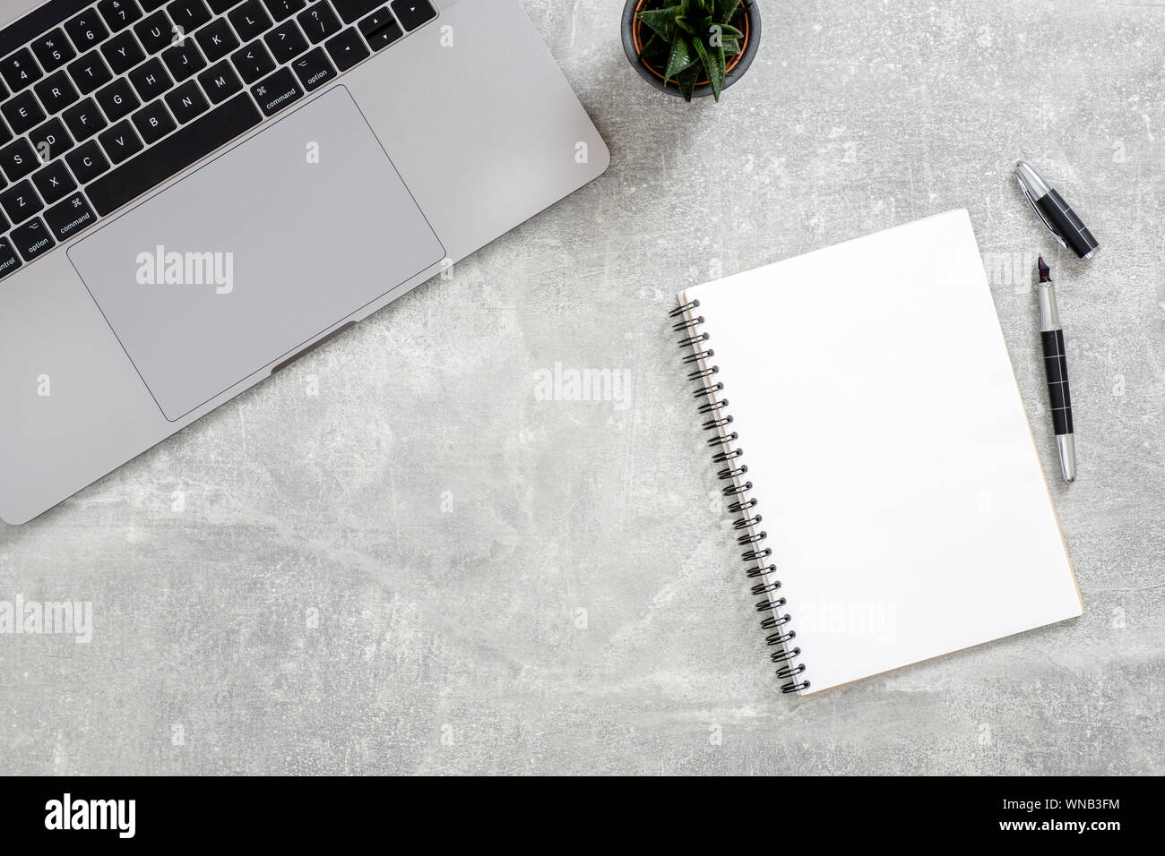 Office desk table with laptop computer, succulent plant, blank paper ...