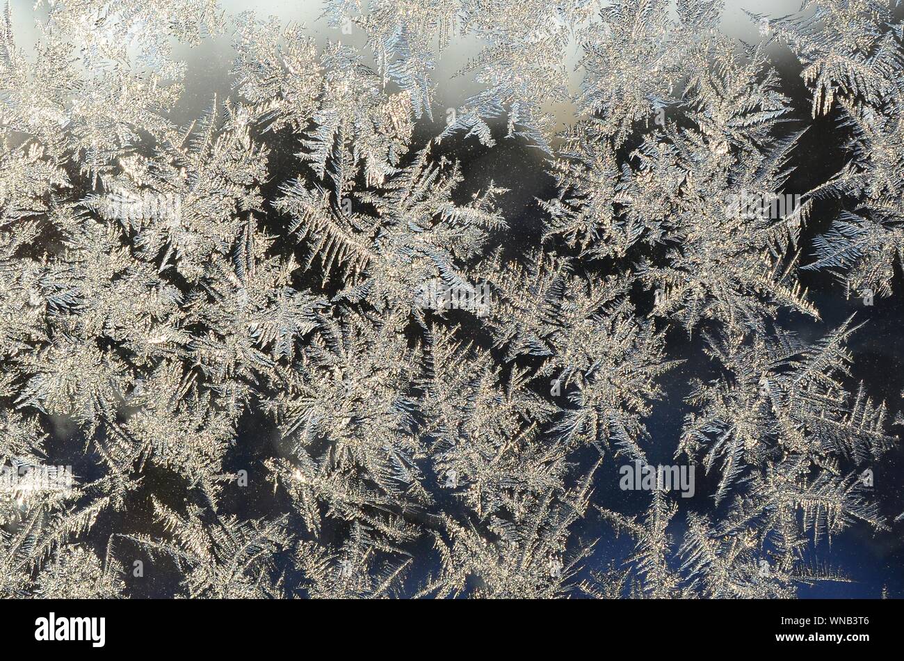 Snowflakes frost rime macro on window glass pane. Colorful ice on the ...