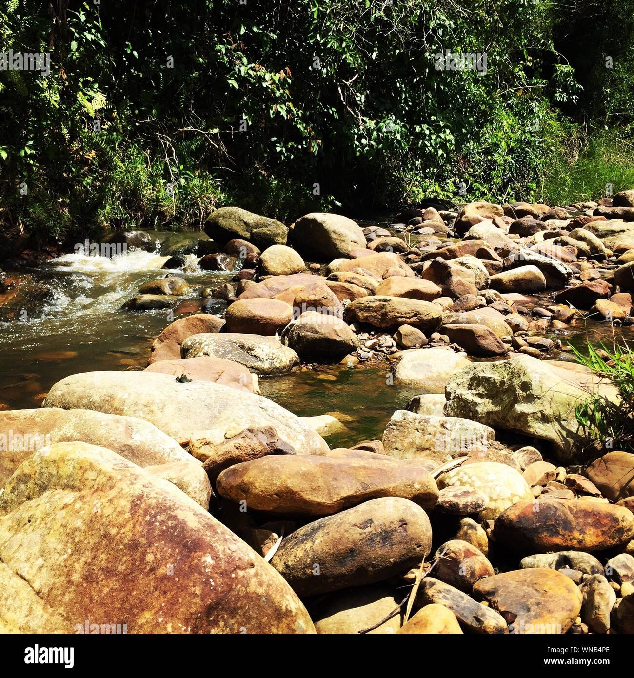 Rocks And Pebbles In Shallow Water High Resolution Stock Photography ...