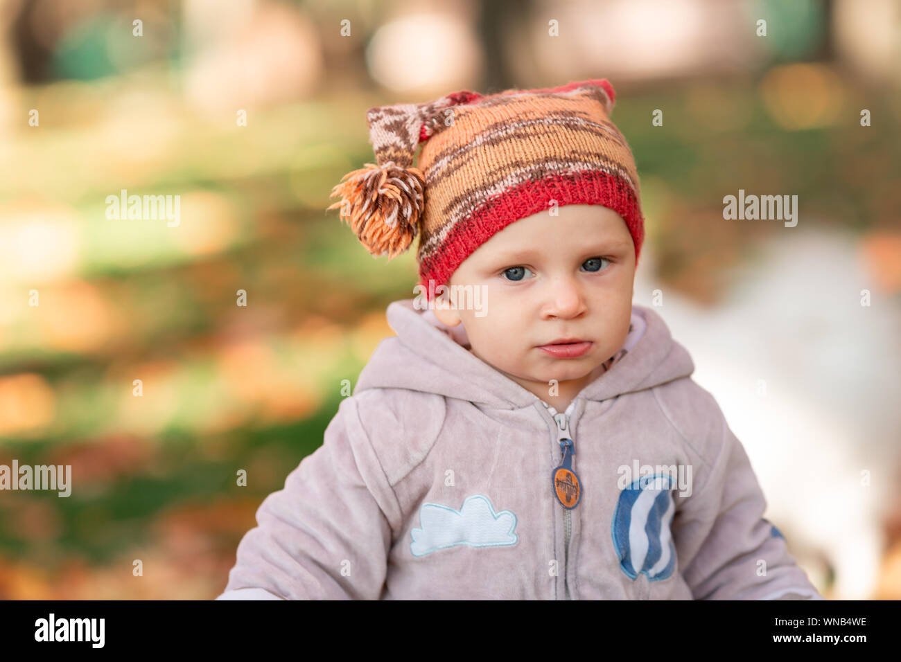 Baby red maple leaves hi-res stock photography and images - Alamy