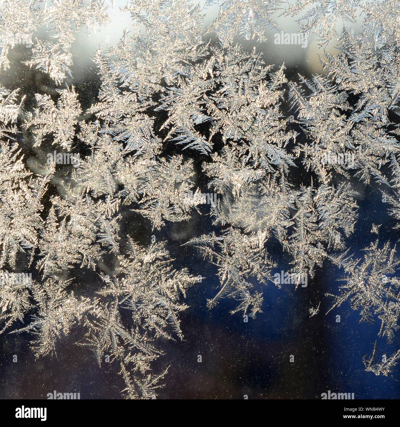 Snowflakes frost rime macro on window glass pane. Colorful ice on the ...