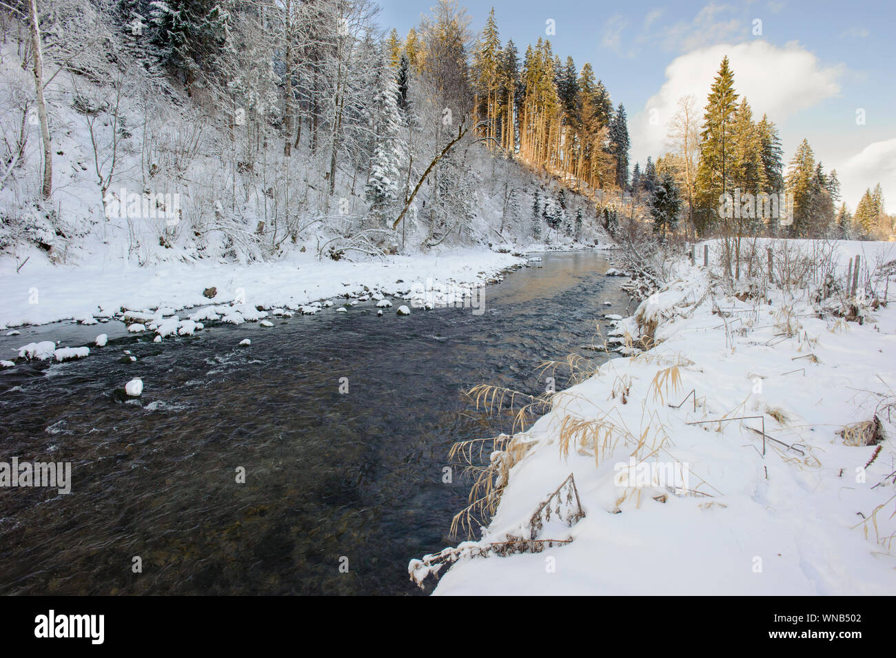 Natural river in gorge hi-res stock photography and images - Alamy