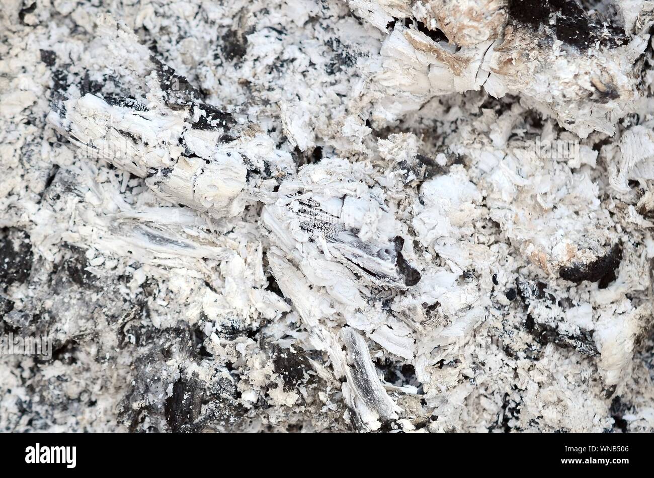 Pile of ashes after the fire went out grunge background texture. Burned ...