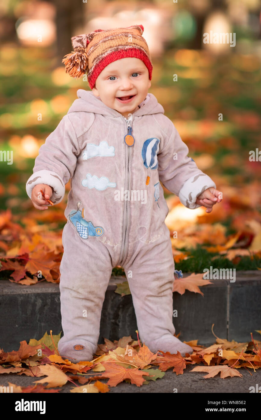 Baby red maple leaves hi-res stock photography and images - Alamy