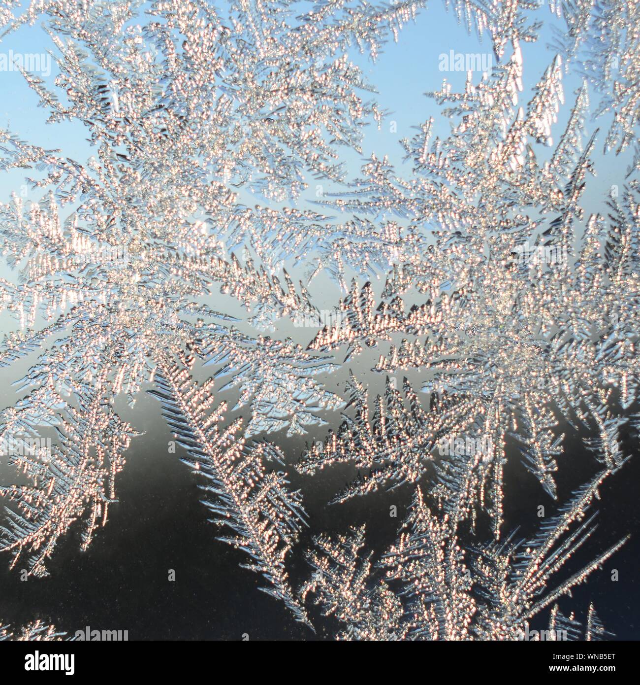 Snowflakes frost rime macro on window glass pane. Colorful ice on the ...