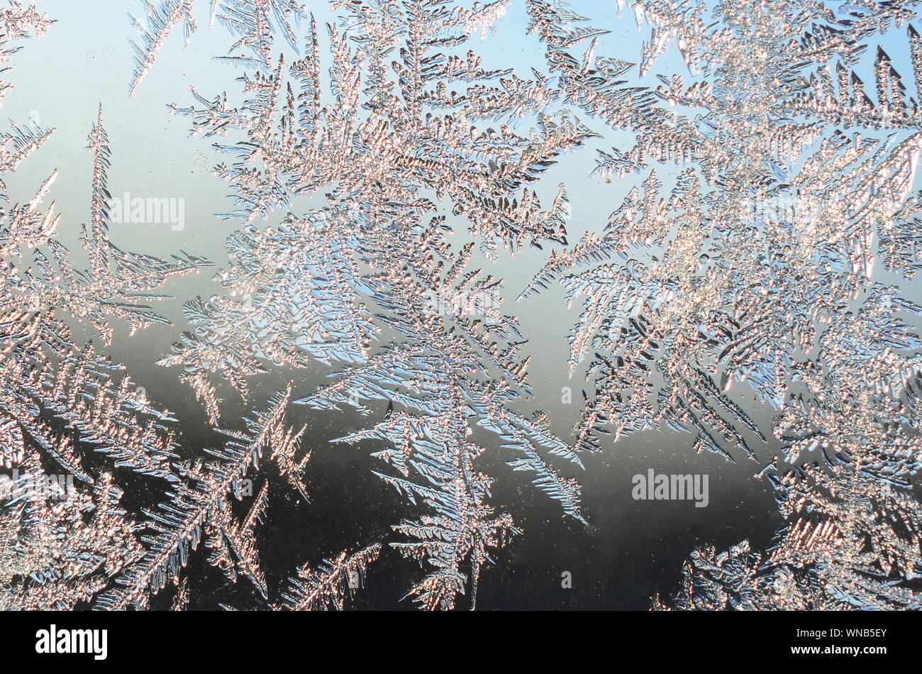 Snowflakes frost rime macro on window glass pane. Colorful ice on the ...