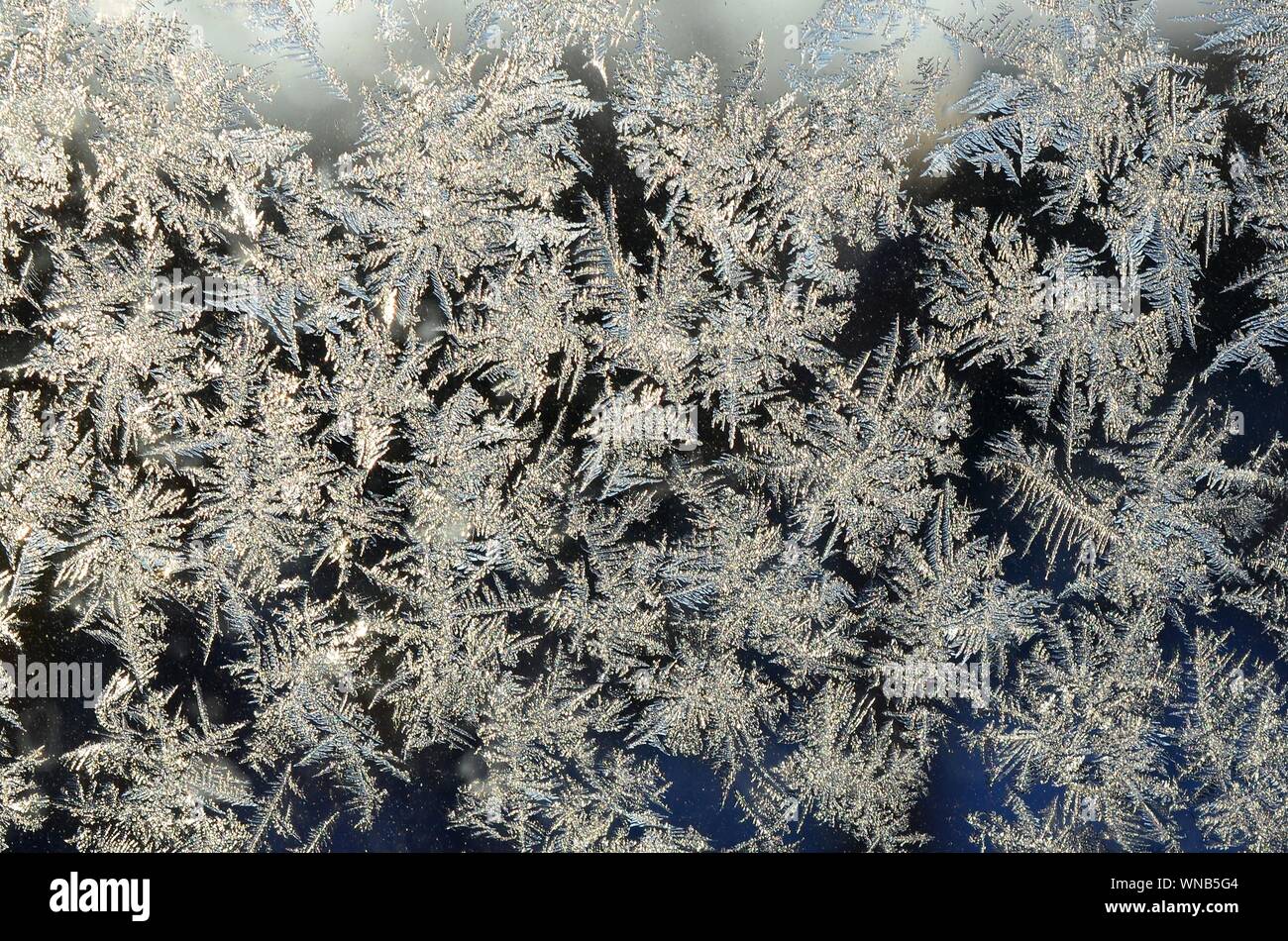 Snowflakes frost rime macro on window glass pane. Colorful ice on the ...