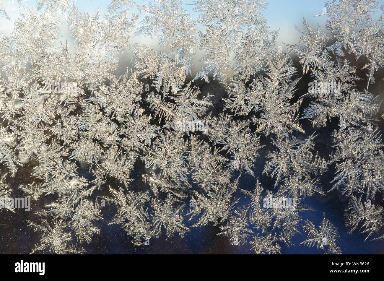 Snowflakes frost rime macro on window glass pane. Colorful ice on the ...