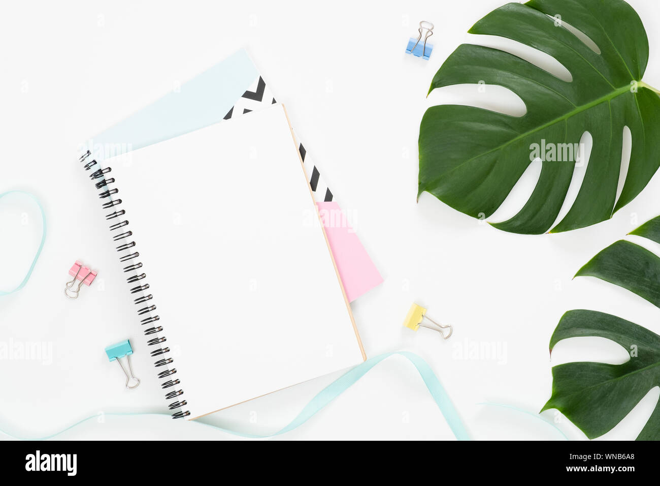 Exotic tropical monstera palm leves and home office stationery, blank ...