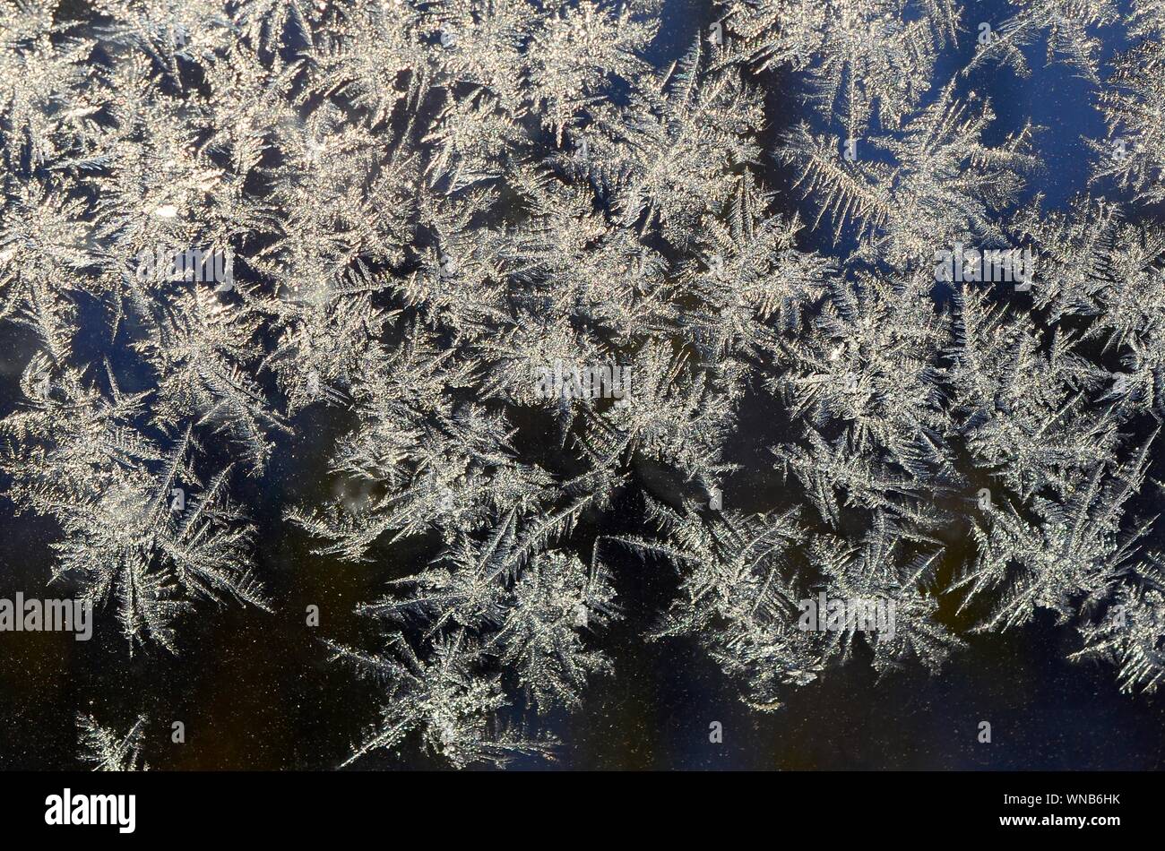 Snowflakes frost rime macro on window glass pane. Colorful ice on the ...