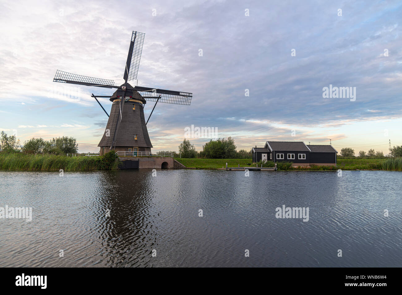 Dutch windmill laying along the canal with wild grass blown by strong ...