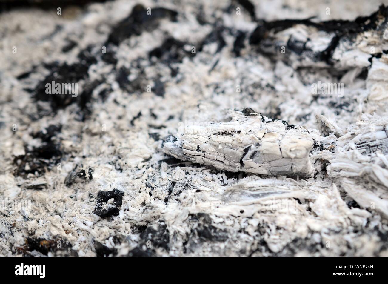 Pile of ashes after the fire went out grunge background texture. Burned ...