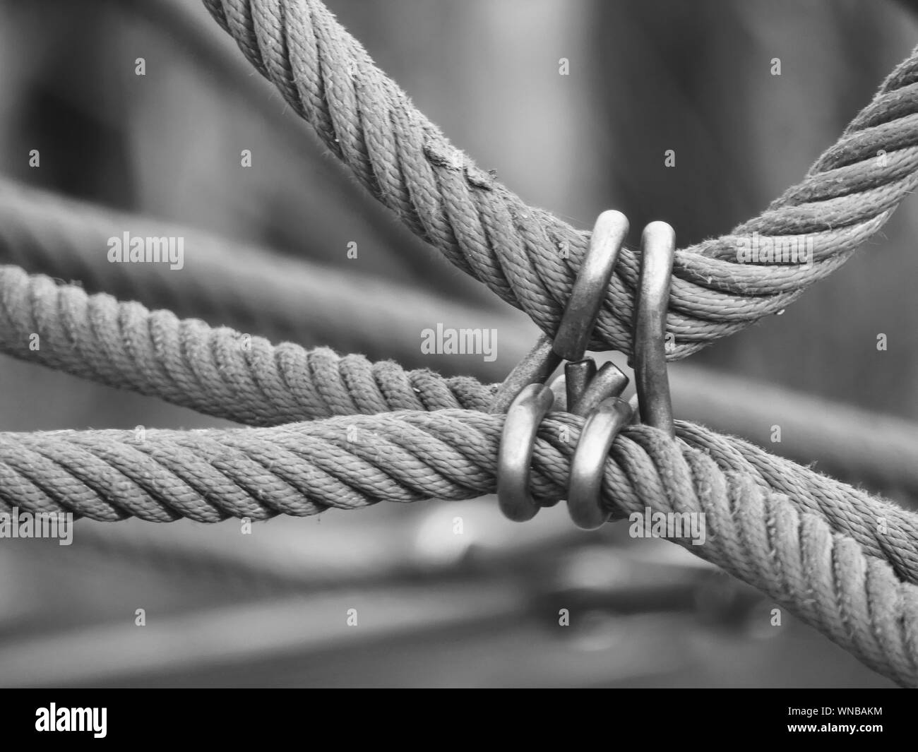 Ropes and hooks hi-res stock photography and images - Alamy