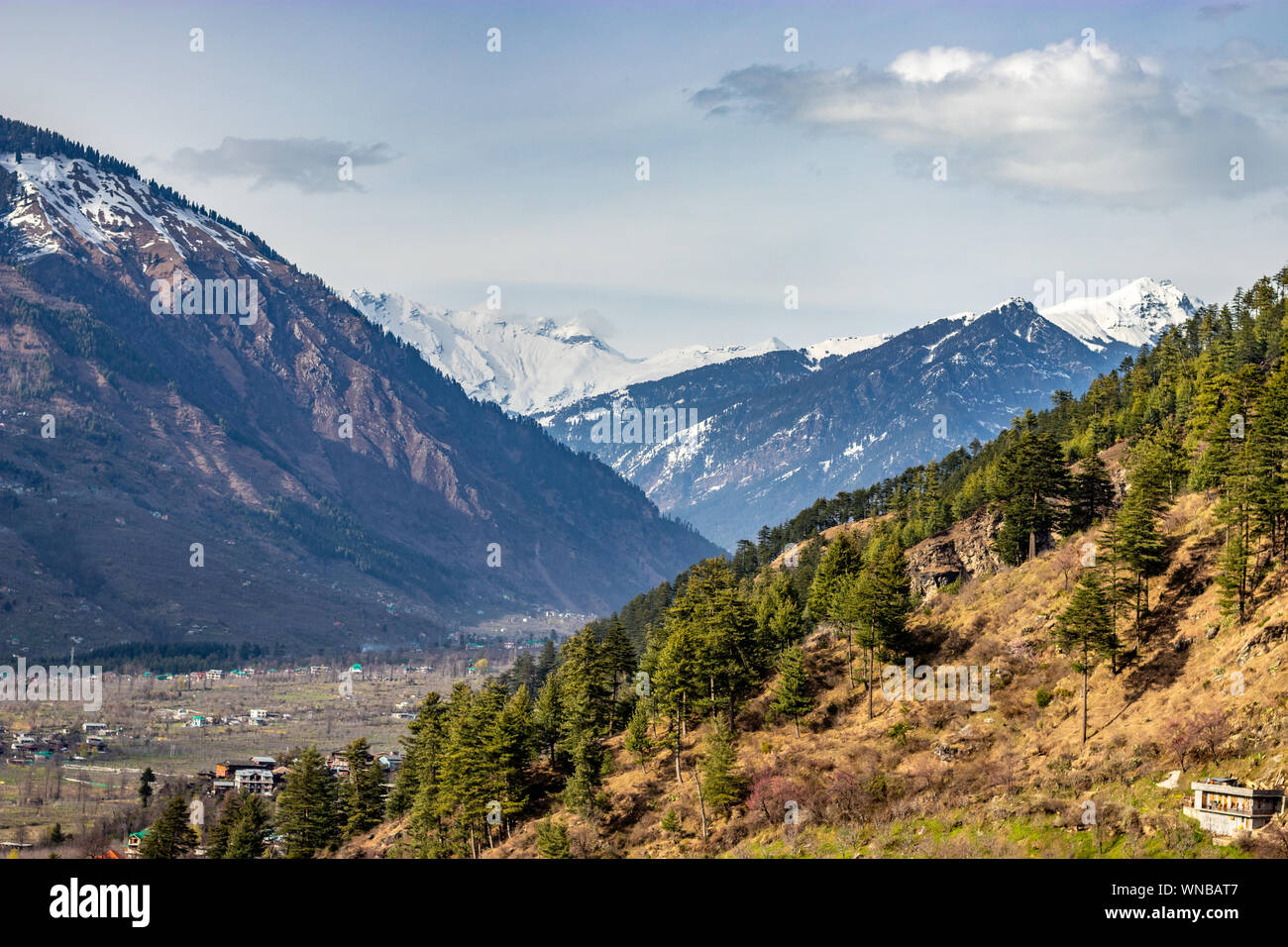 Snow at hills with tree and sky image is taken at manali india showing ...