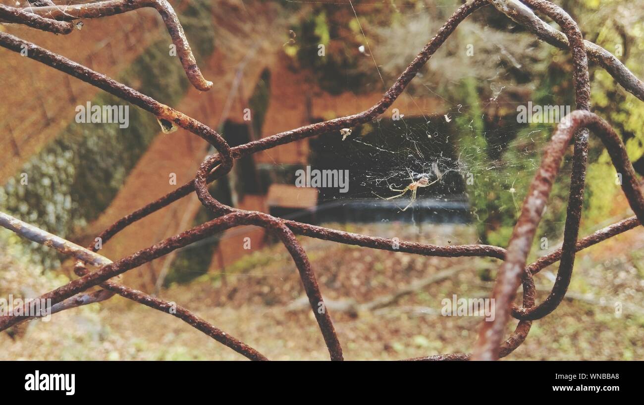 Spider Web Of Wires High Resolution Stock Photography and Images - Alamy