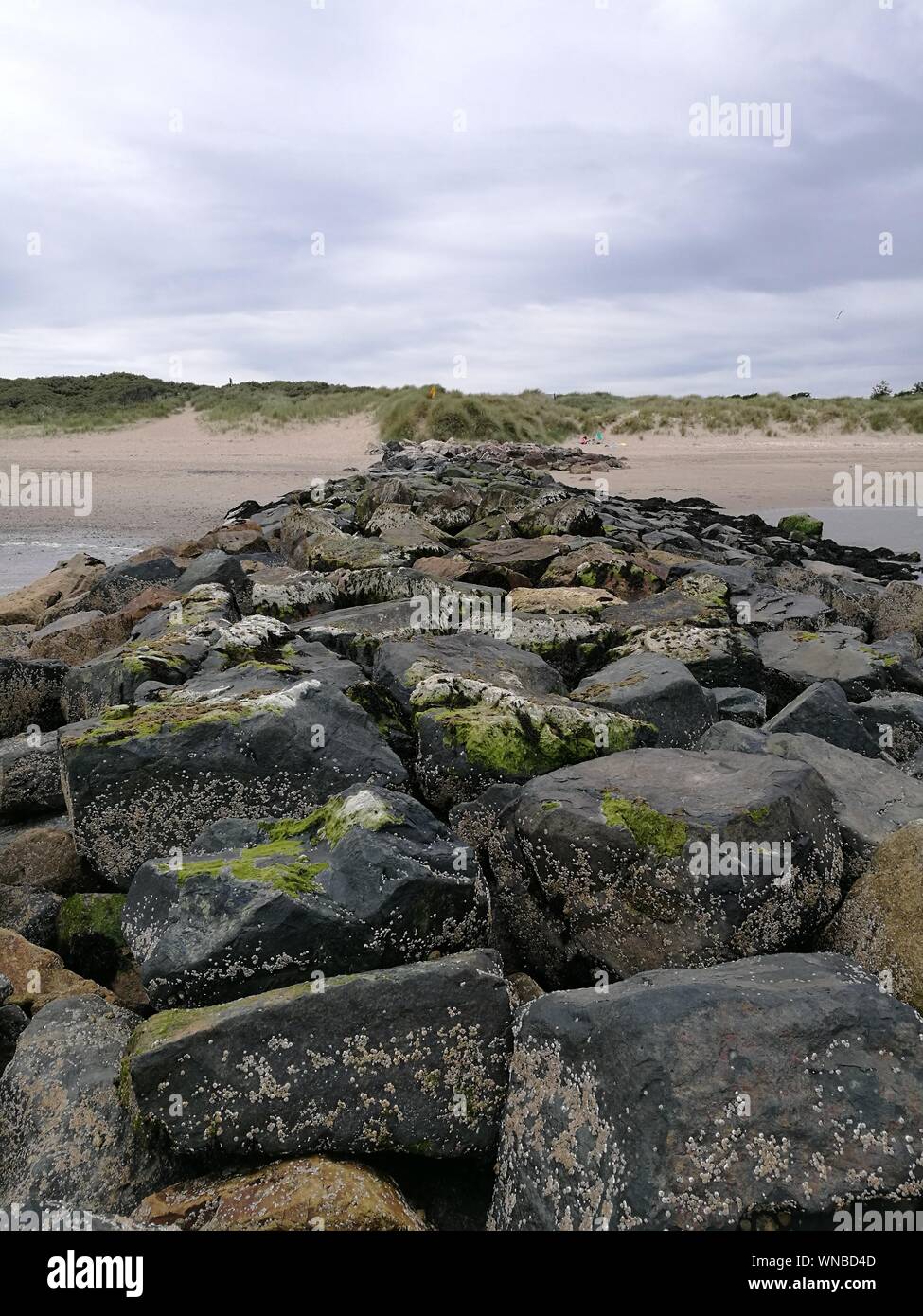 Rock groyne High Resolution Stock Photography and Images - Alamy