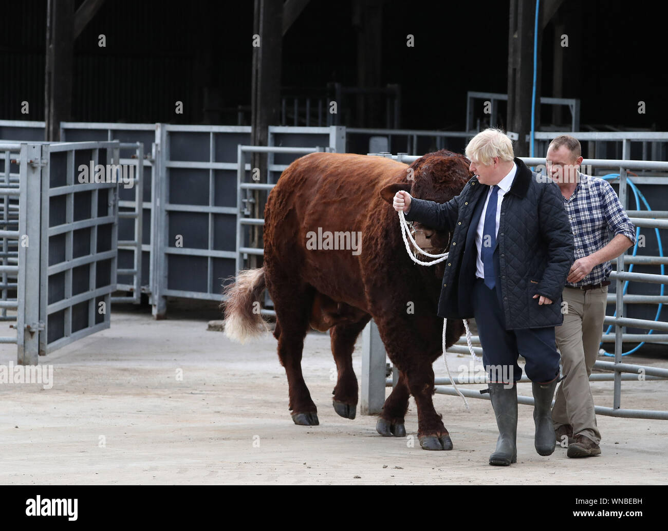 Prime Minister Boris Johnson (left) walking a bull during a visit to ...