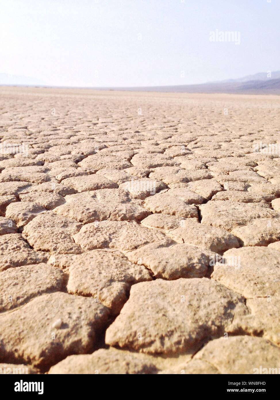 Desert ground hi-res stock photography and images - Alamy